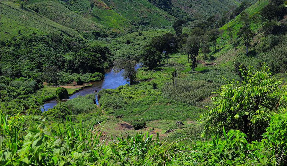 Ecosystem Management & Biodiversity Conservation - Bio Vision Africa